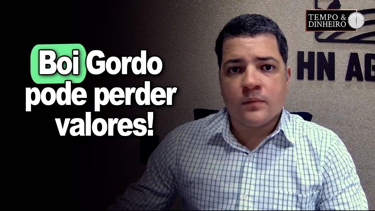 Boi gordo pode perder valores máximos registrados com dezembro mais ...